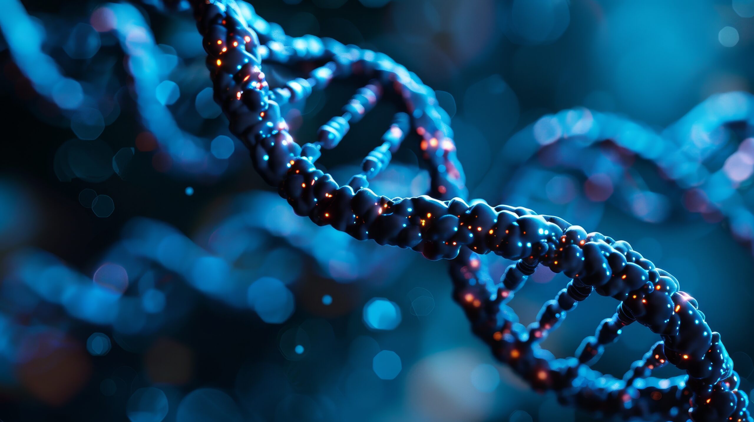 Bioethics – Honors College